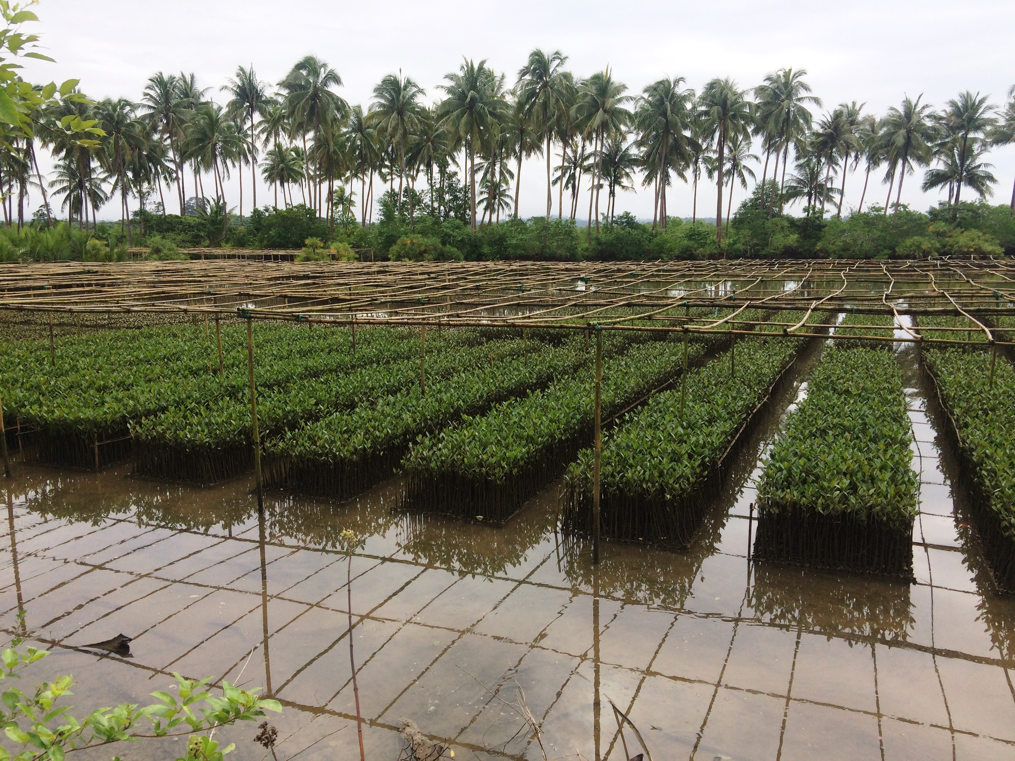 The Green Web Foundation | How to choose a good green host